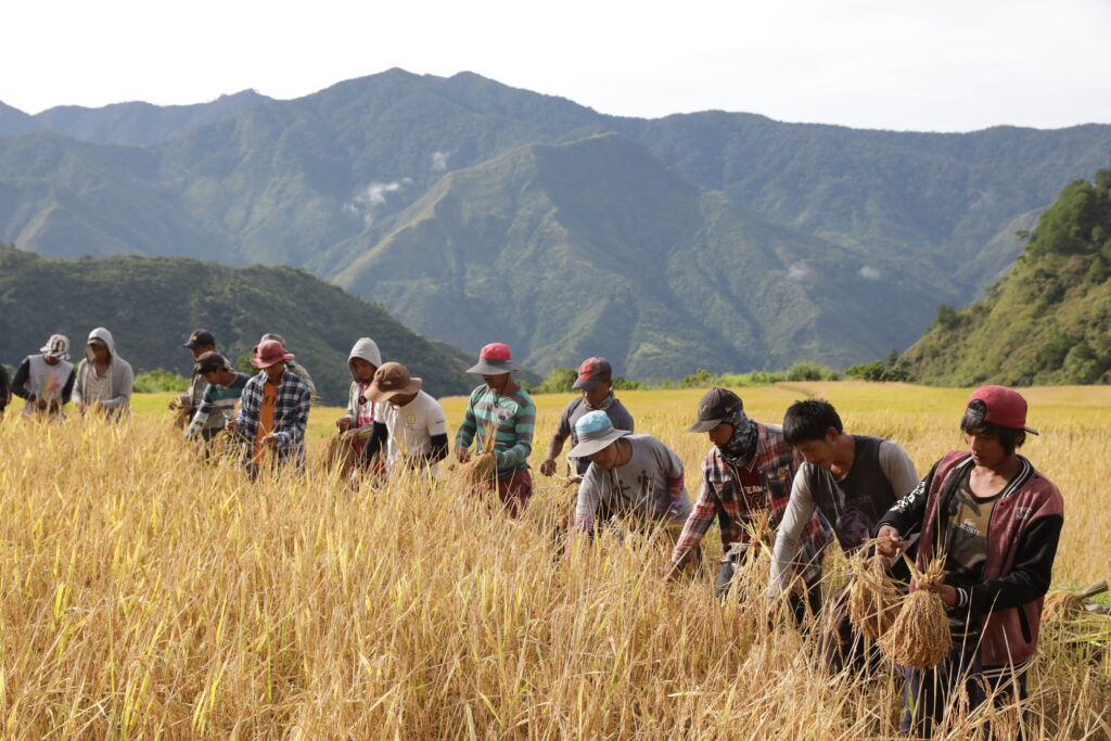 More Than a Batok: 7 Immersive Experiences to Do in Buscalan