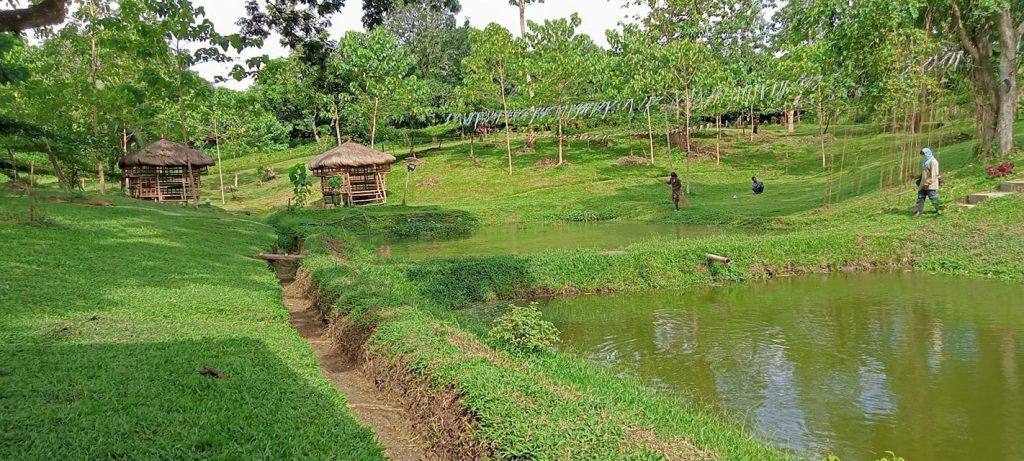 Soccsksargen’s Emerging Tourism Gem: Farming Tour