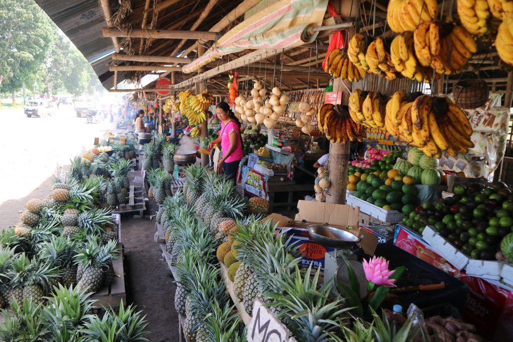 Soccsksargen’s Emerging Tourism Gem: Farming Tour