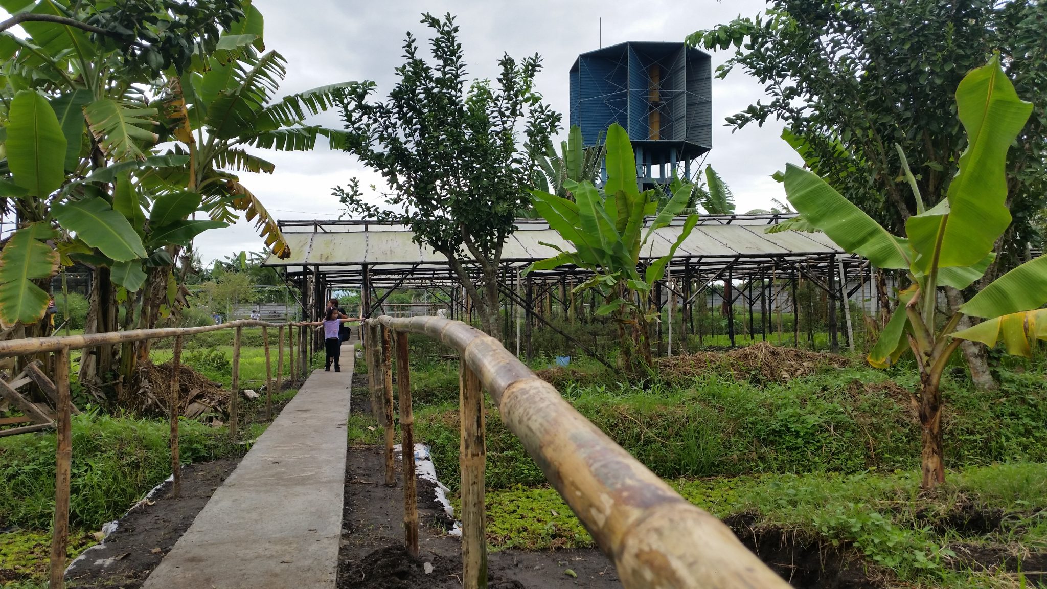 Soccsksargen’s Emerging Tourism Gem: Farming Tour