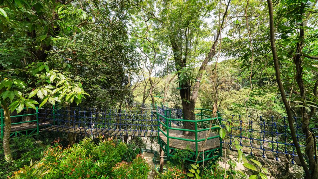 Green Sanctuaries in Rizal with Breathtaking Views