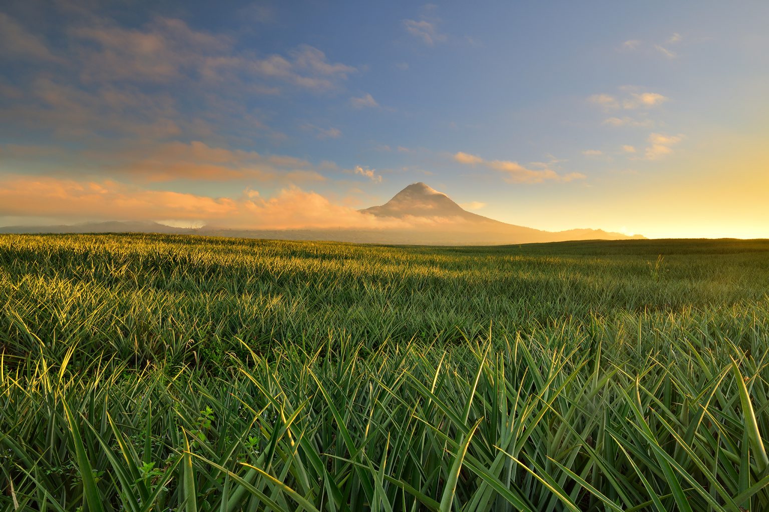 Soccsksargen’s Emerging Tourism Gem: Farming Tour