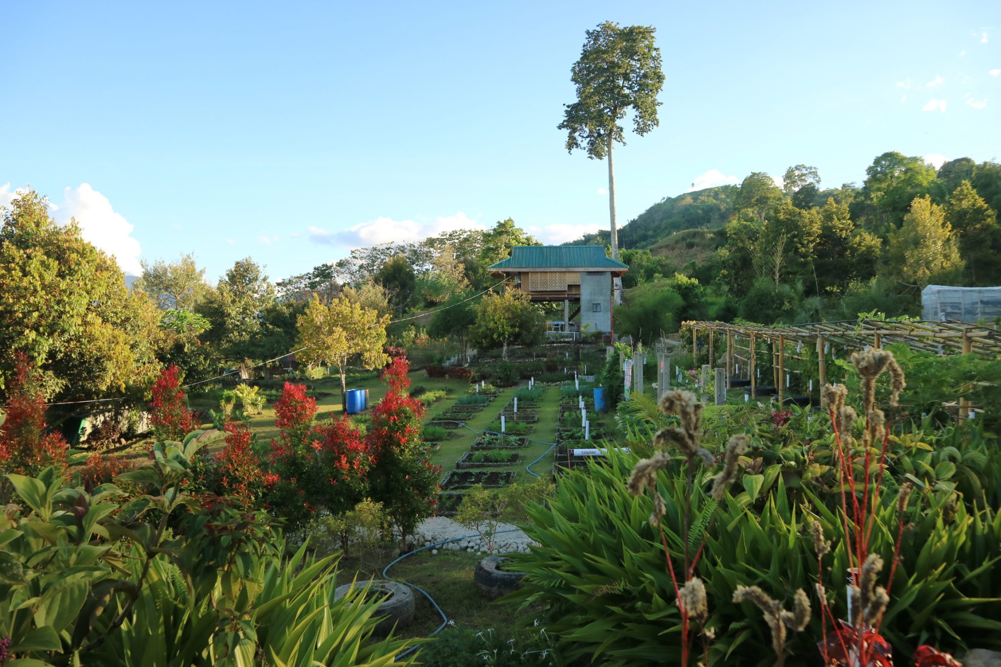 Soccsksargen’s Emerging Tourism Gem: Farming Tour