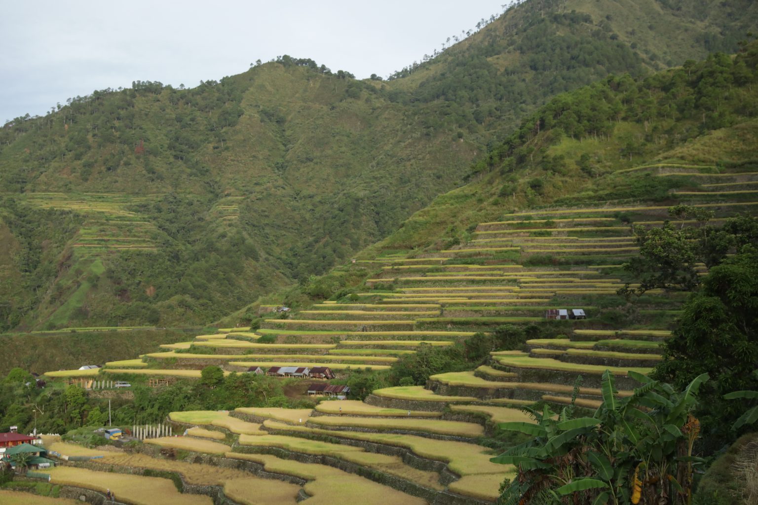 How the Kalinga Deals with Love, Life, and Death