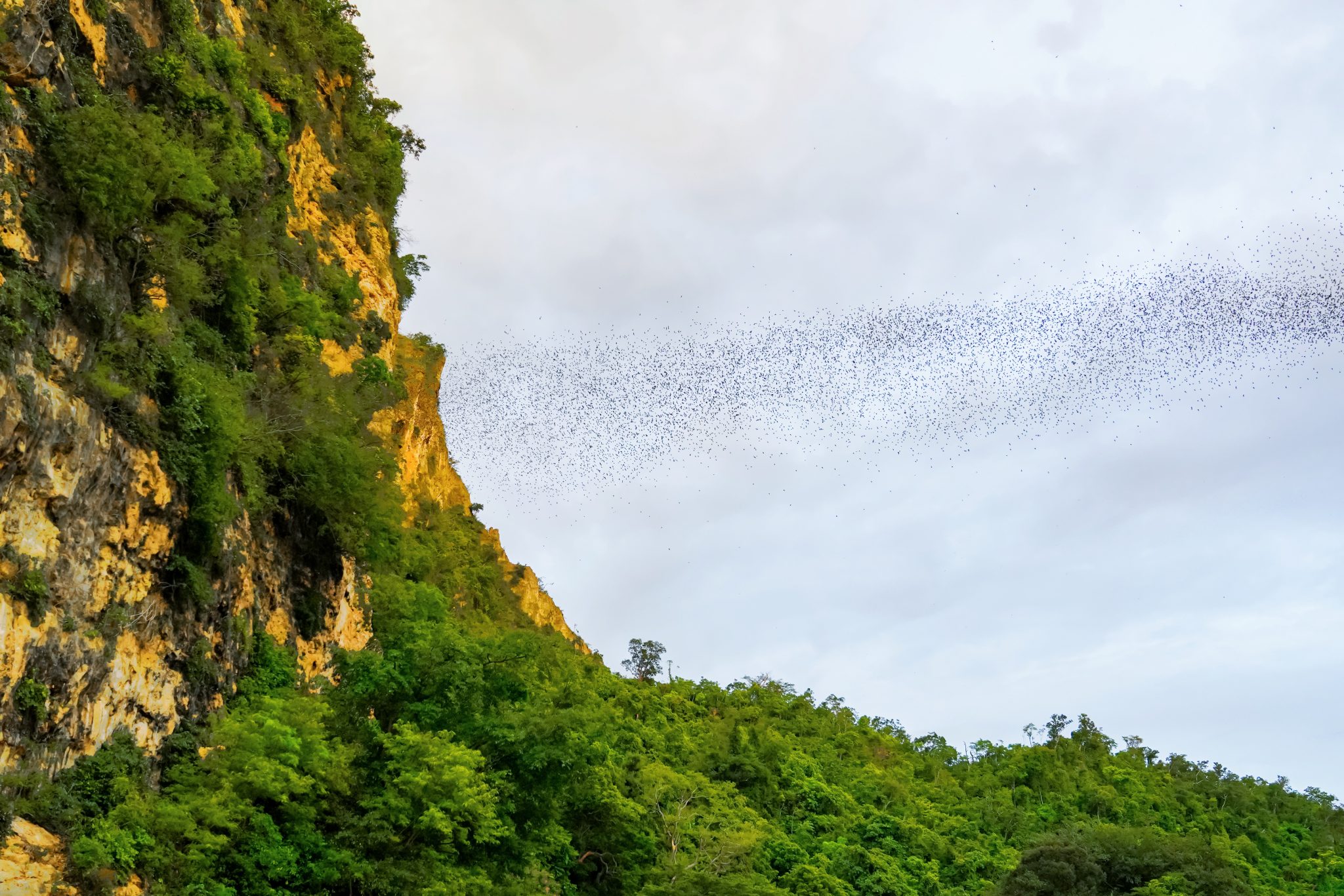 67,000-Year-Old Fossils Inside Cagayan’s Callao Cave