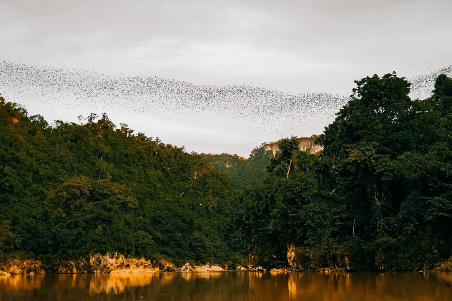 67,000-Year-Old Fossils Inside Cagayan’s Callao Cave