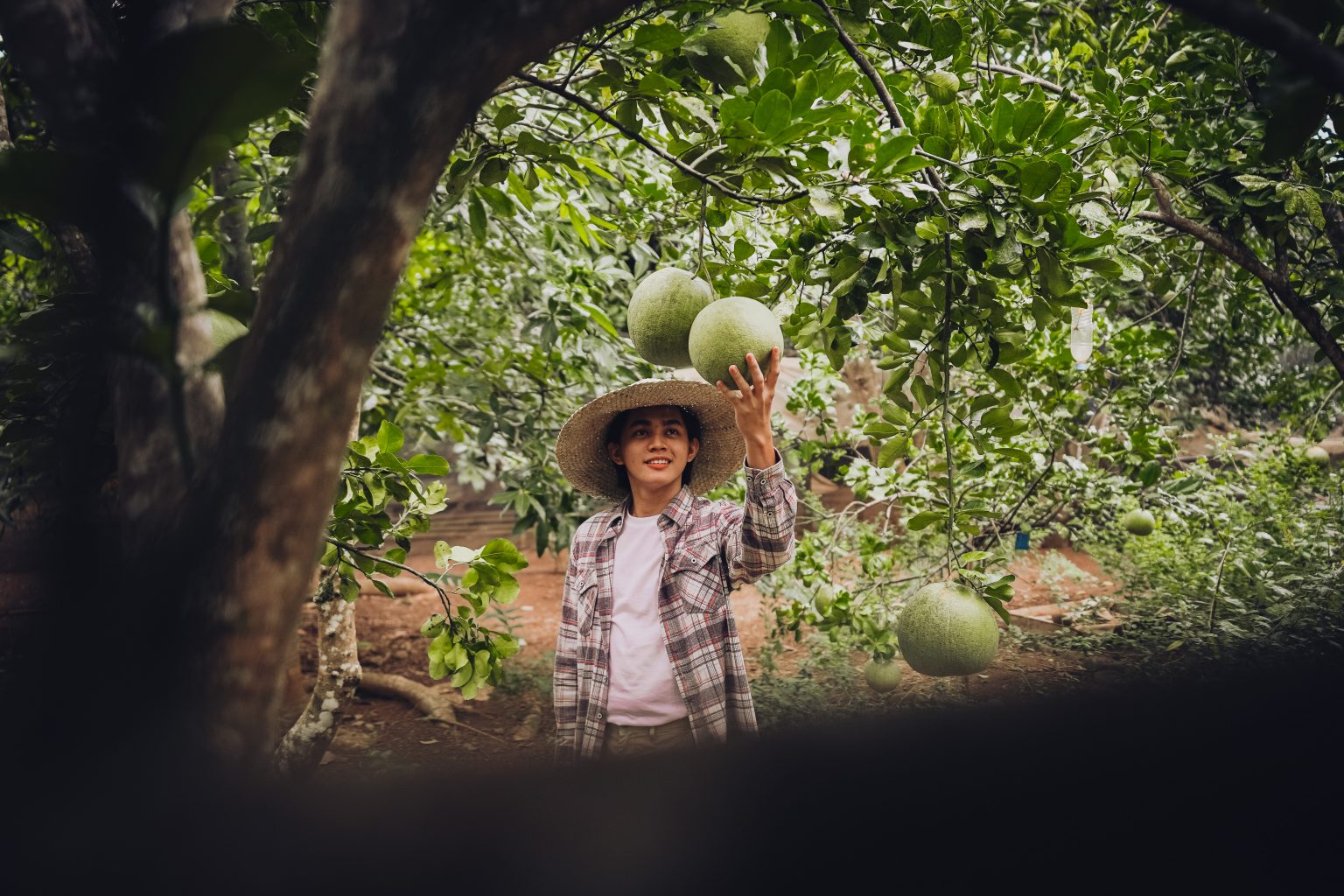 Ultimate Guide to Isabela