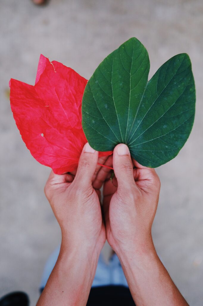 How Quirino Locals Make Fossilize Flowers