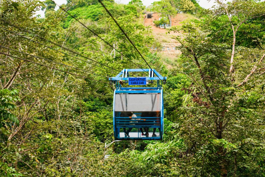 Ultimate Guide to Isabela