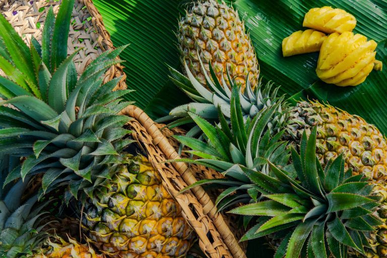 Taste The Philippines Sweetest Pineapple In Camarines Norte