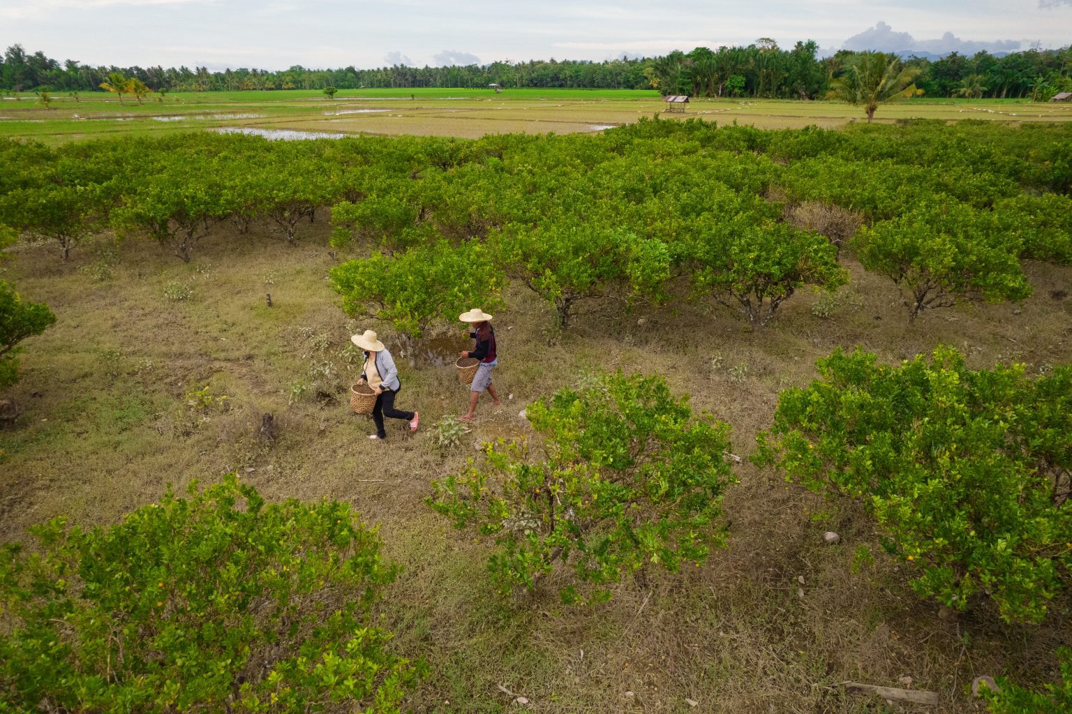 Ultimate Guide to Zamboanga Sibugay