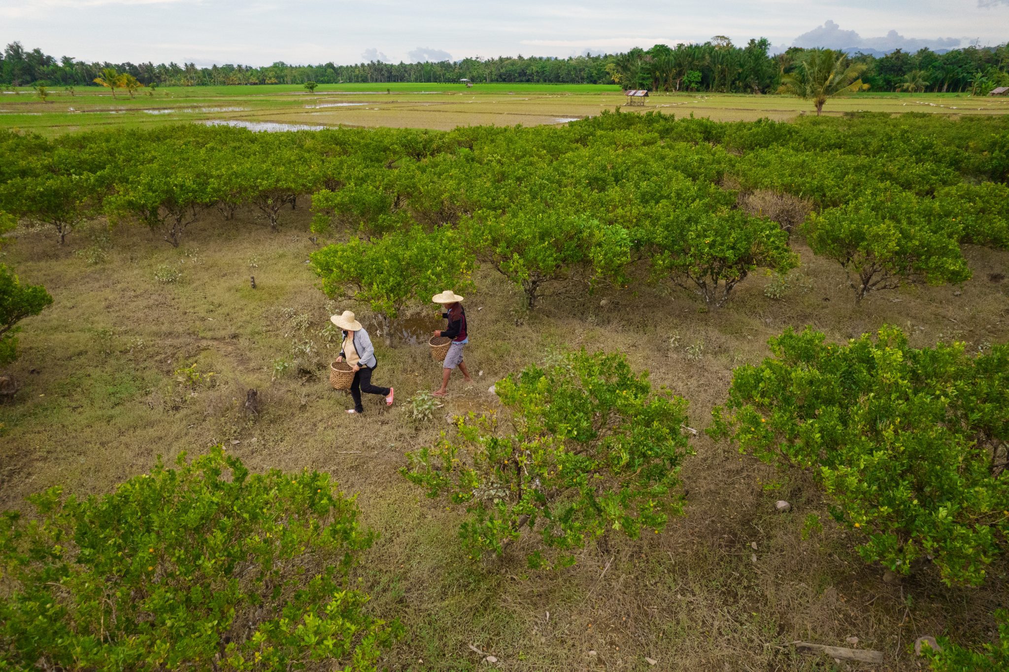 Ultimate Guide to Zamboanga Sibugay