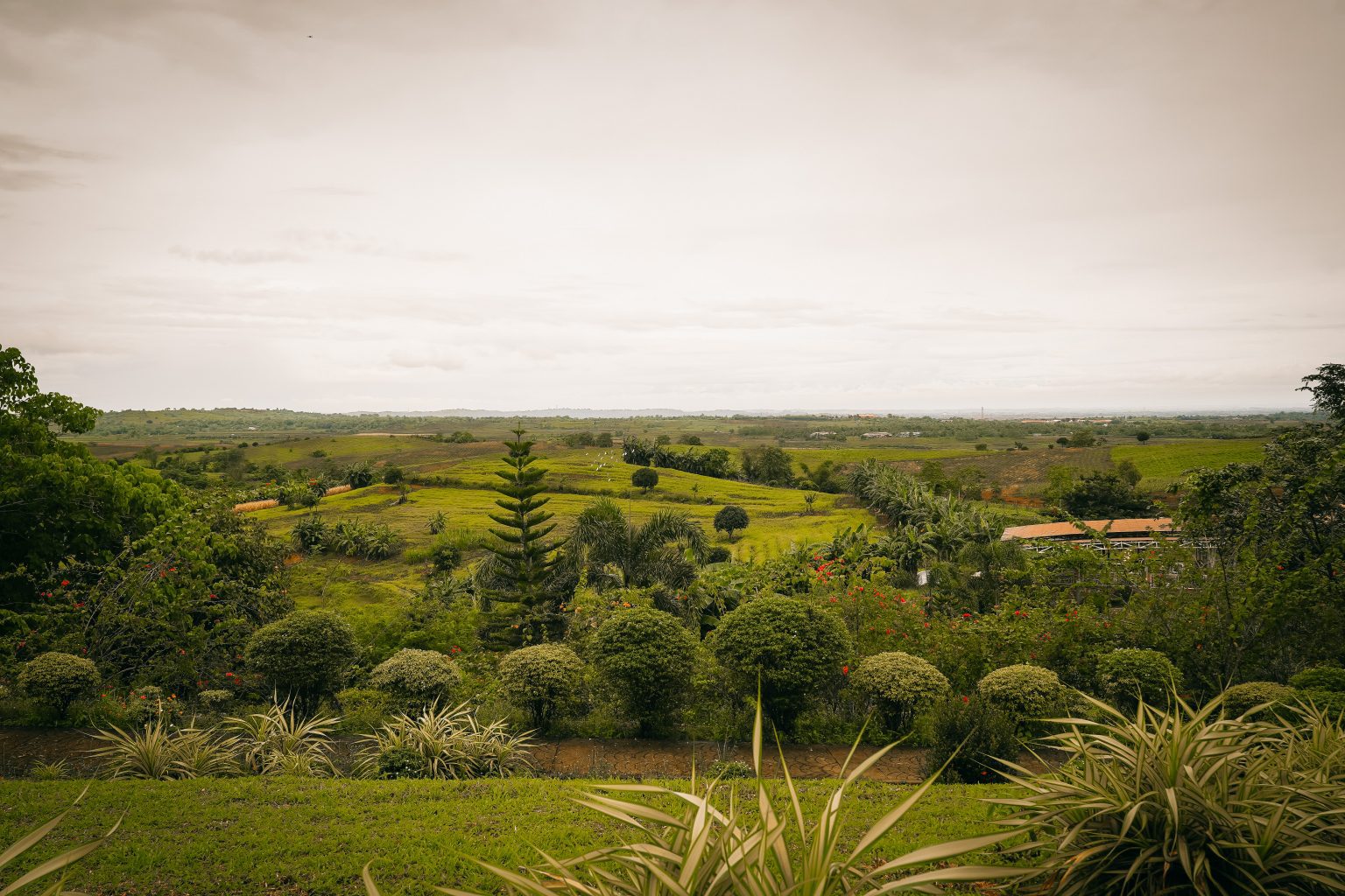 Visiting Samar Island Natural Park