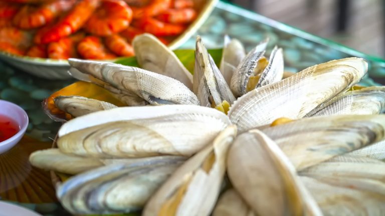 Capture Capiz: Rich Cultural Heritage and Gastronomic Haven Rolled Into One