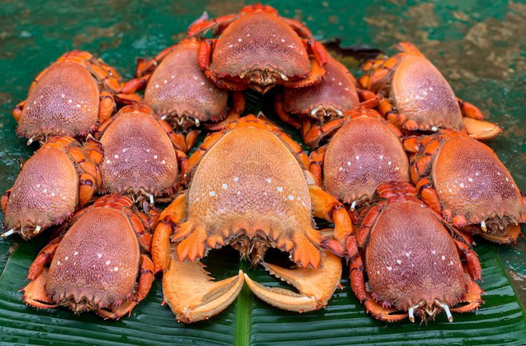 These Local Communities are Thriving with Sustainable Tourism in the ...