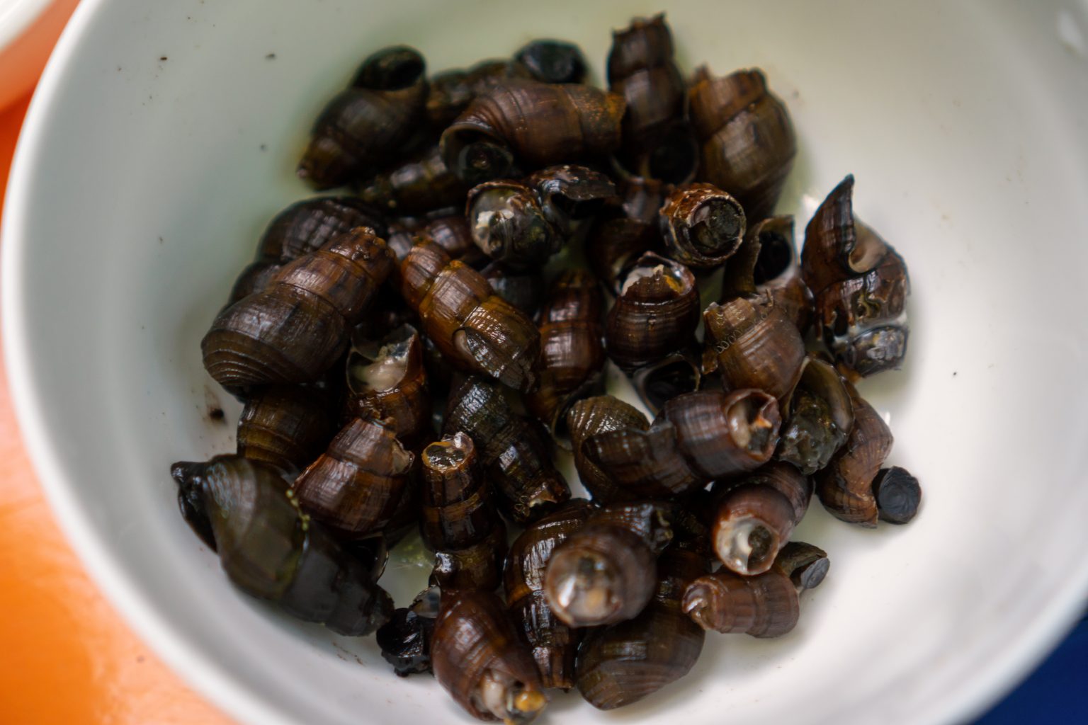 13 Dishes to Try in Catanduanes