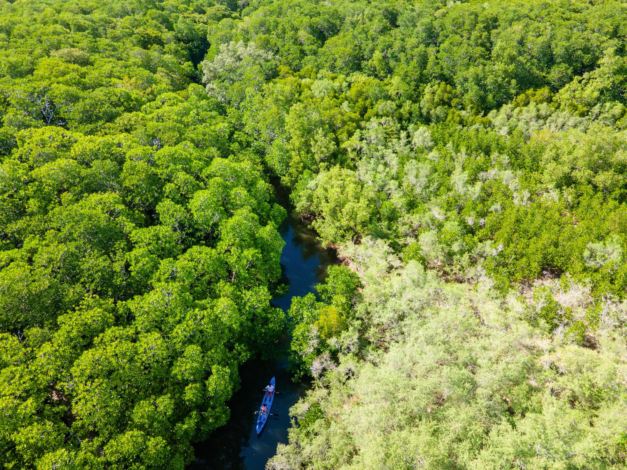 7 Nature Parks to Visit in Bicol