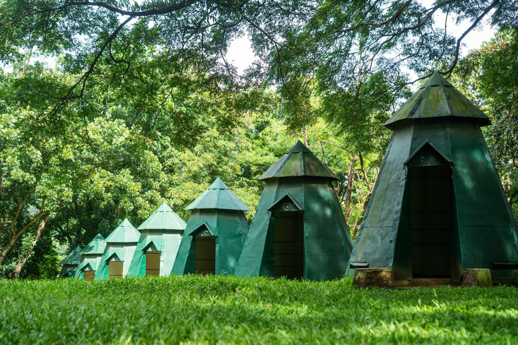 Park Activities in the Zamboanga Peninsula